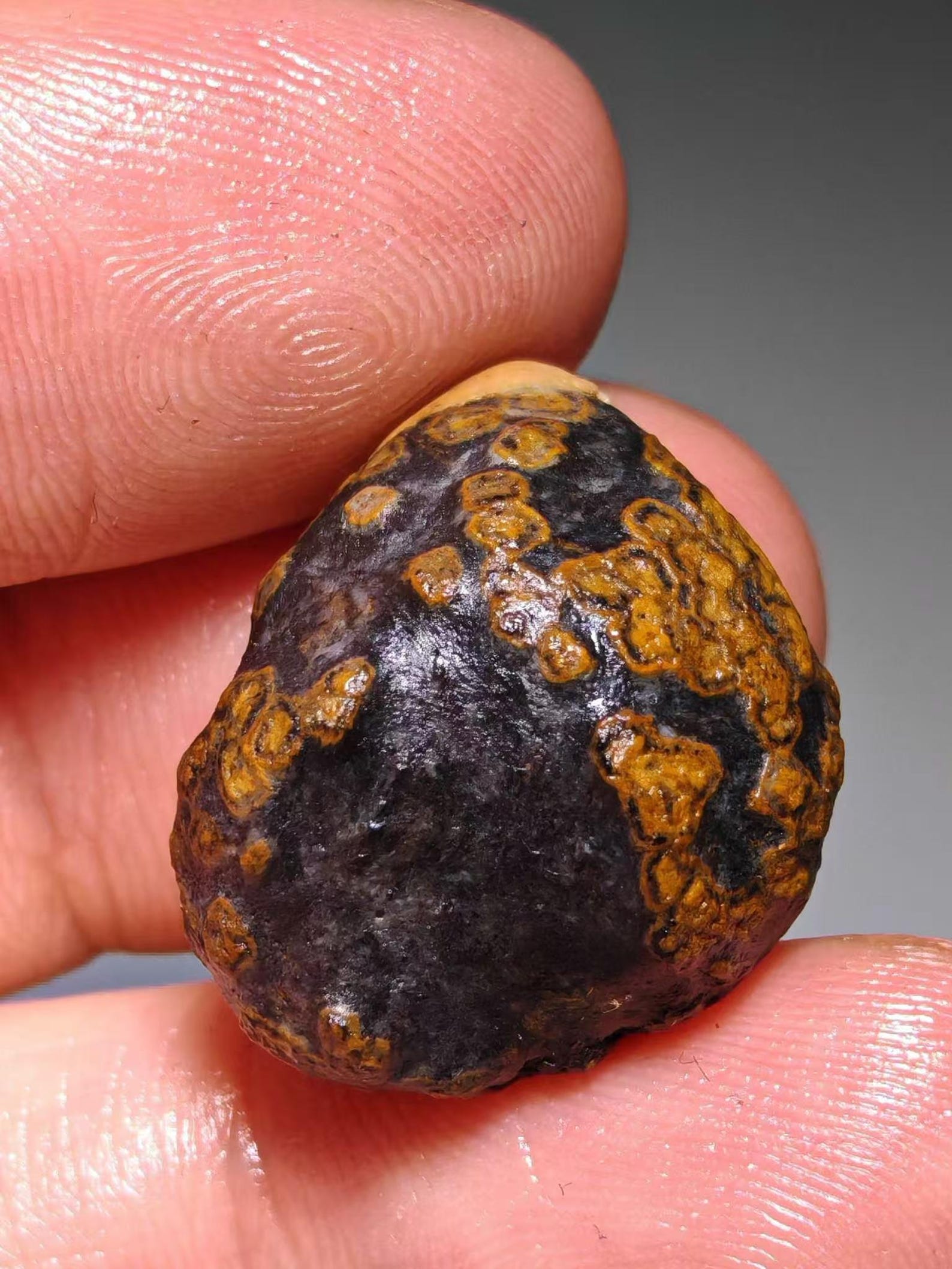 China Natural Stone Mountain Stones Bonsai Suiseki Alashan Desert Stone ...