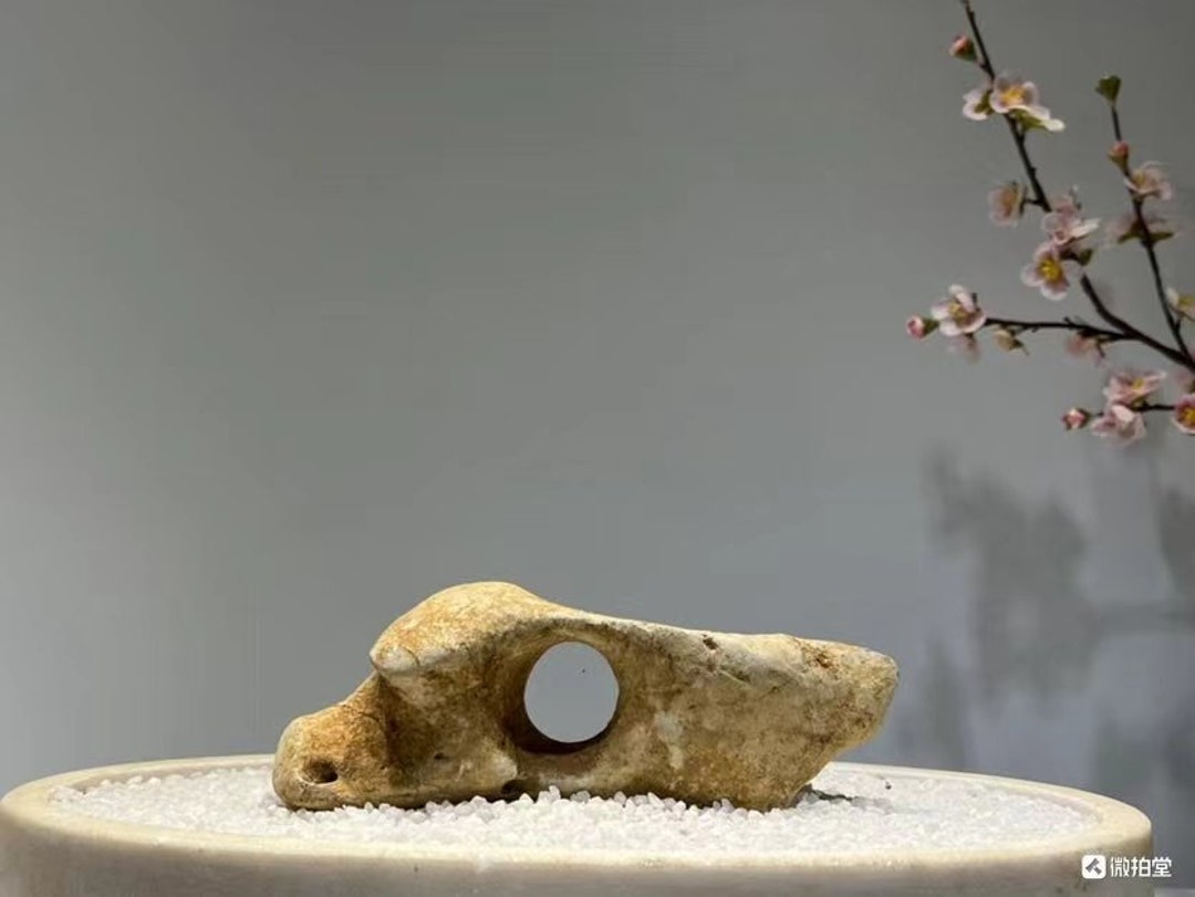 China Natural Stone Mountain Stones Bonsai Suiseki Taihu Stone 太湖石 Raw ...