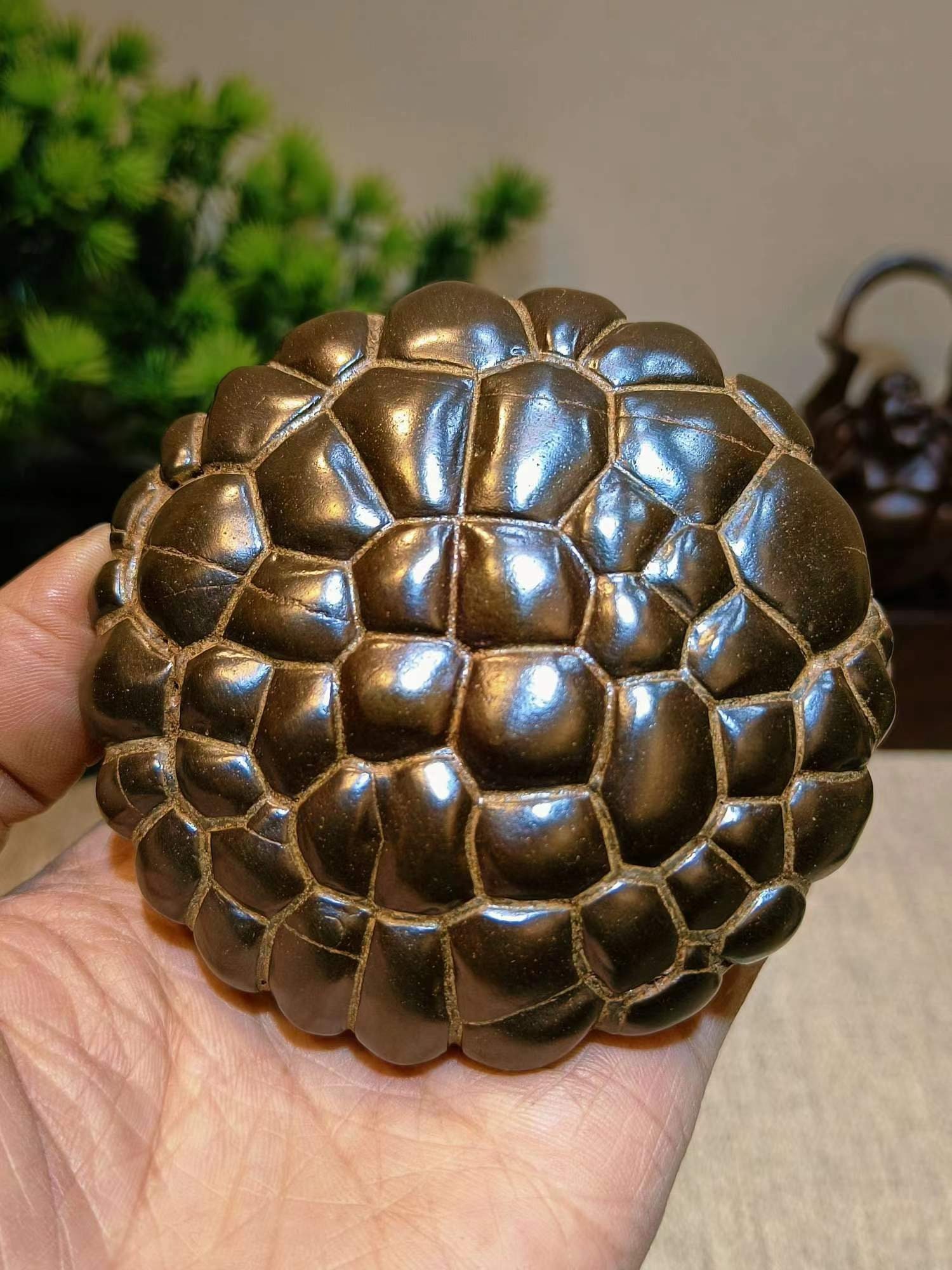 China Natural Stone "tortoise Back Pattern" Stone Moire Stone 121001 - Etsy