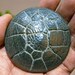 China Natural Stone "tortoise Back Pattern" Stone Moire Stone 051604 - Etsy