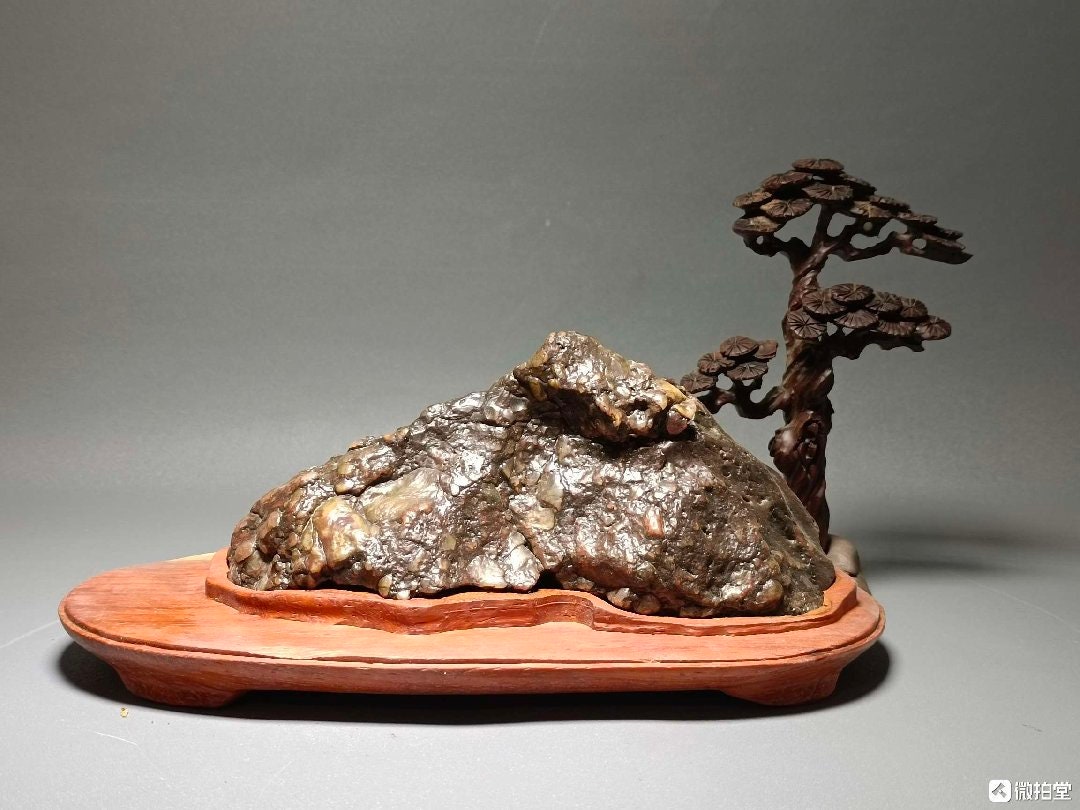 China Natural stone Mountain stones Bonsai Suiseki alashan | Etsy