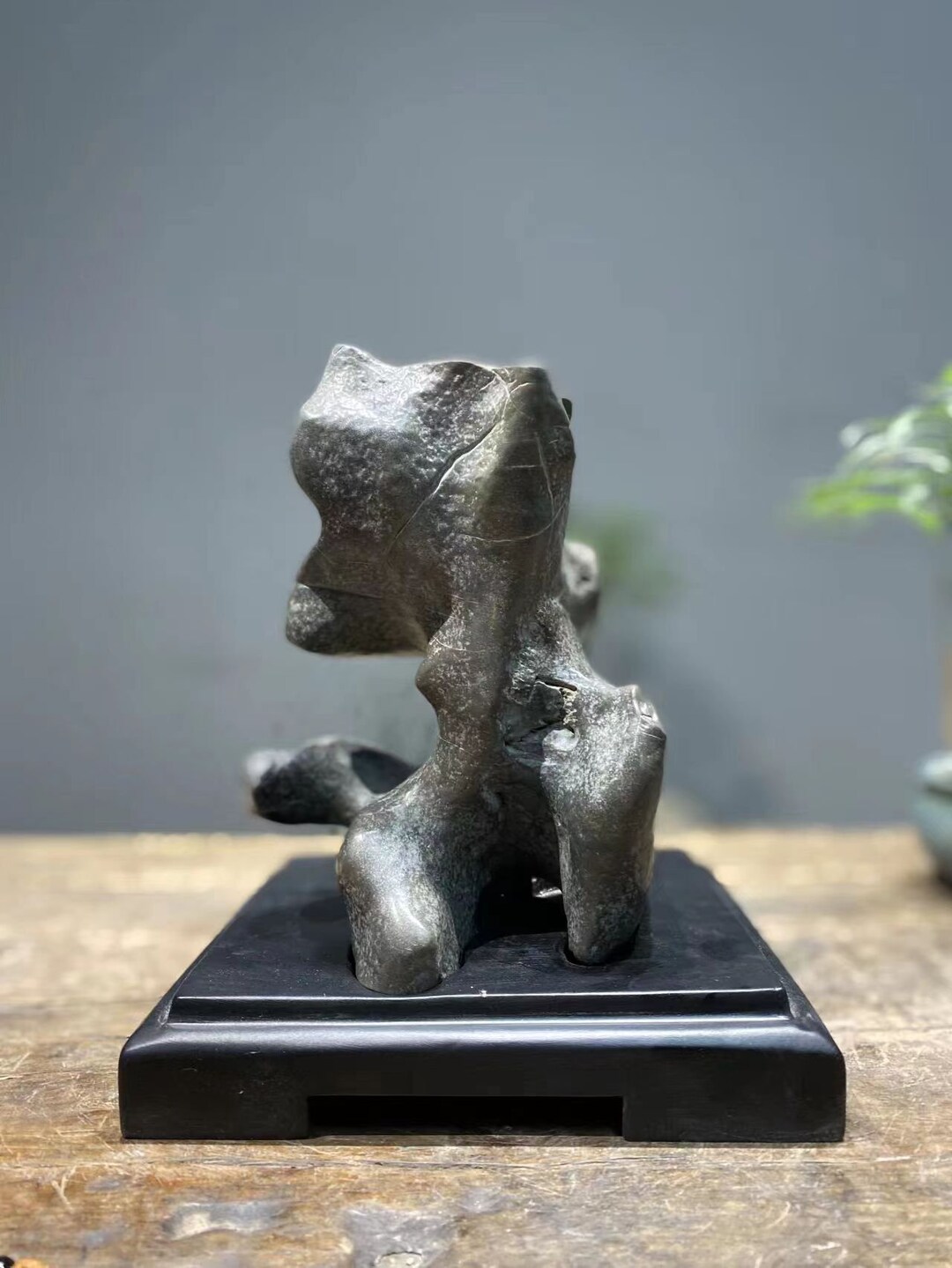 Old Collection China Natural Stone Mountain Stones Bonsai Suiseki Taihu ...