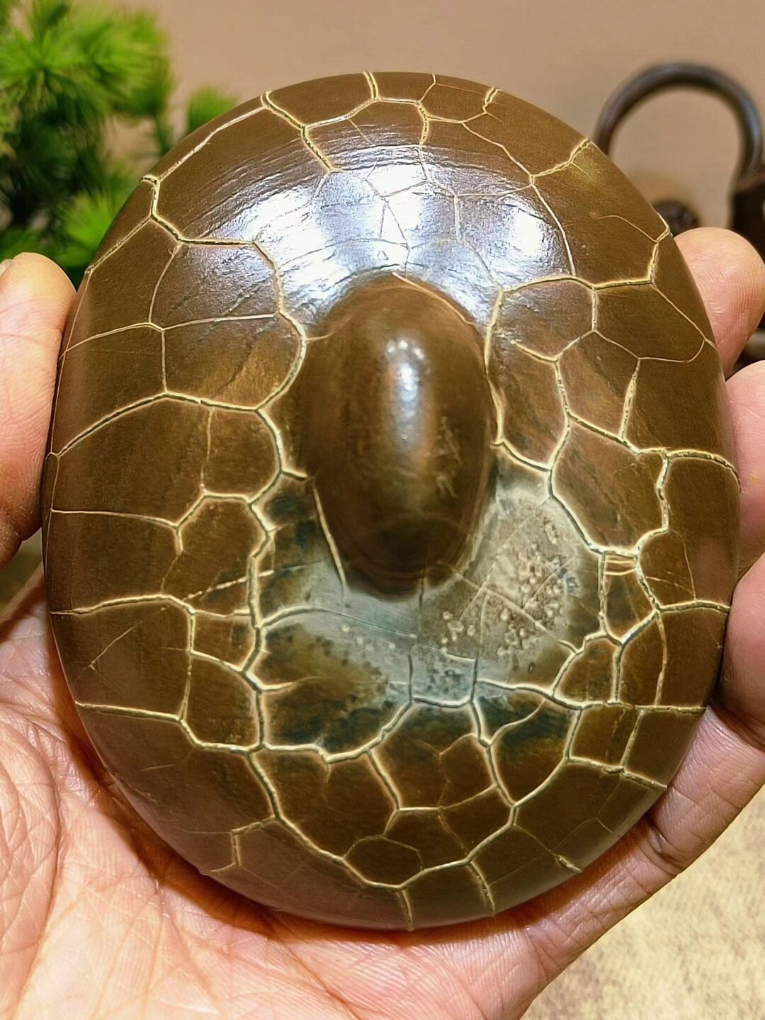 China Natural Stone "tortoise Back Pattern" Stone Moire Stone 031001 - Etsy