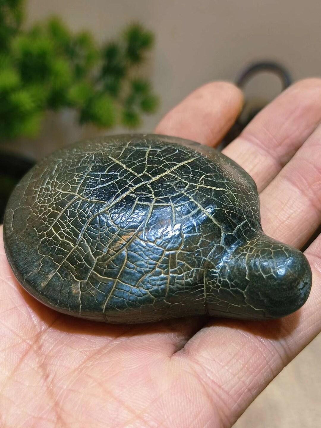 China Natural Stone tortoise Back Pattern Stone Moire Stone 042103 - Etsy