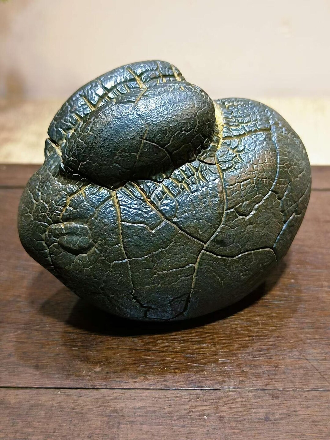 China Natural Stone "tortoise Back Pattern" Stone Moire Stone 110101 ...