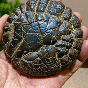 China Natural Stone "tortoise Back Pattern" Stone Moire Stone 070802 - Etsy