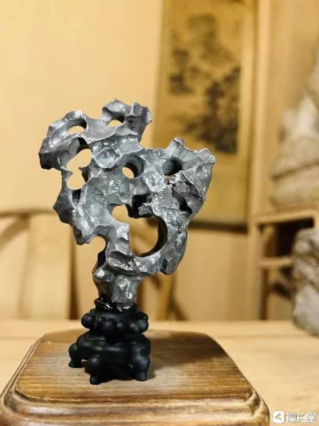 China Natural Stone Mountain Stones Bonsai Suiseki North Taihu - Etsy