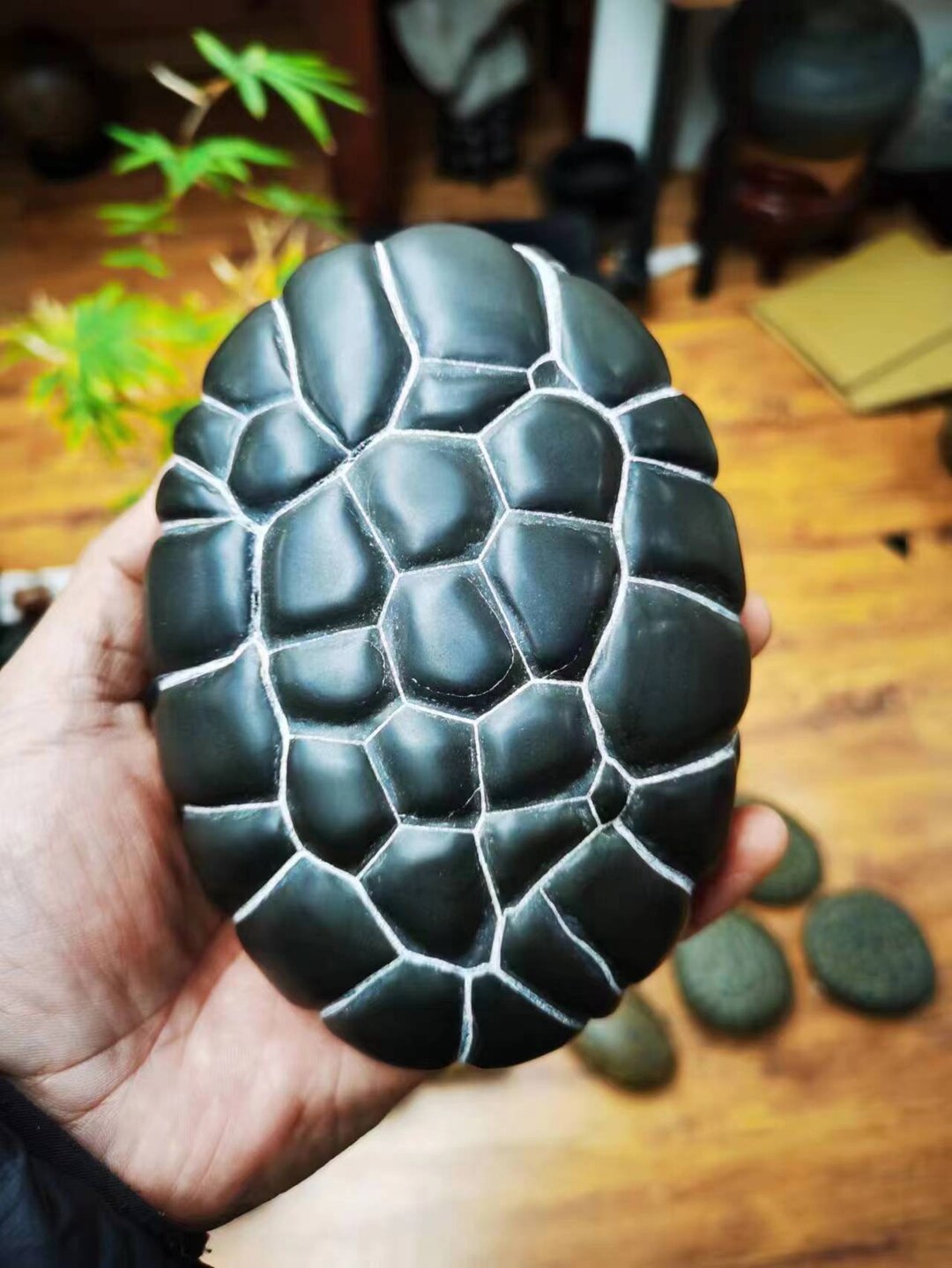 China Natural Stone "tortoise Back Pattern" Stone Moire Stone 122802 - Etsy