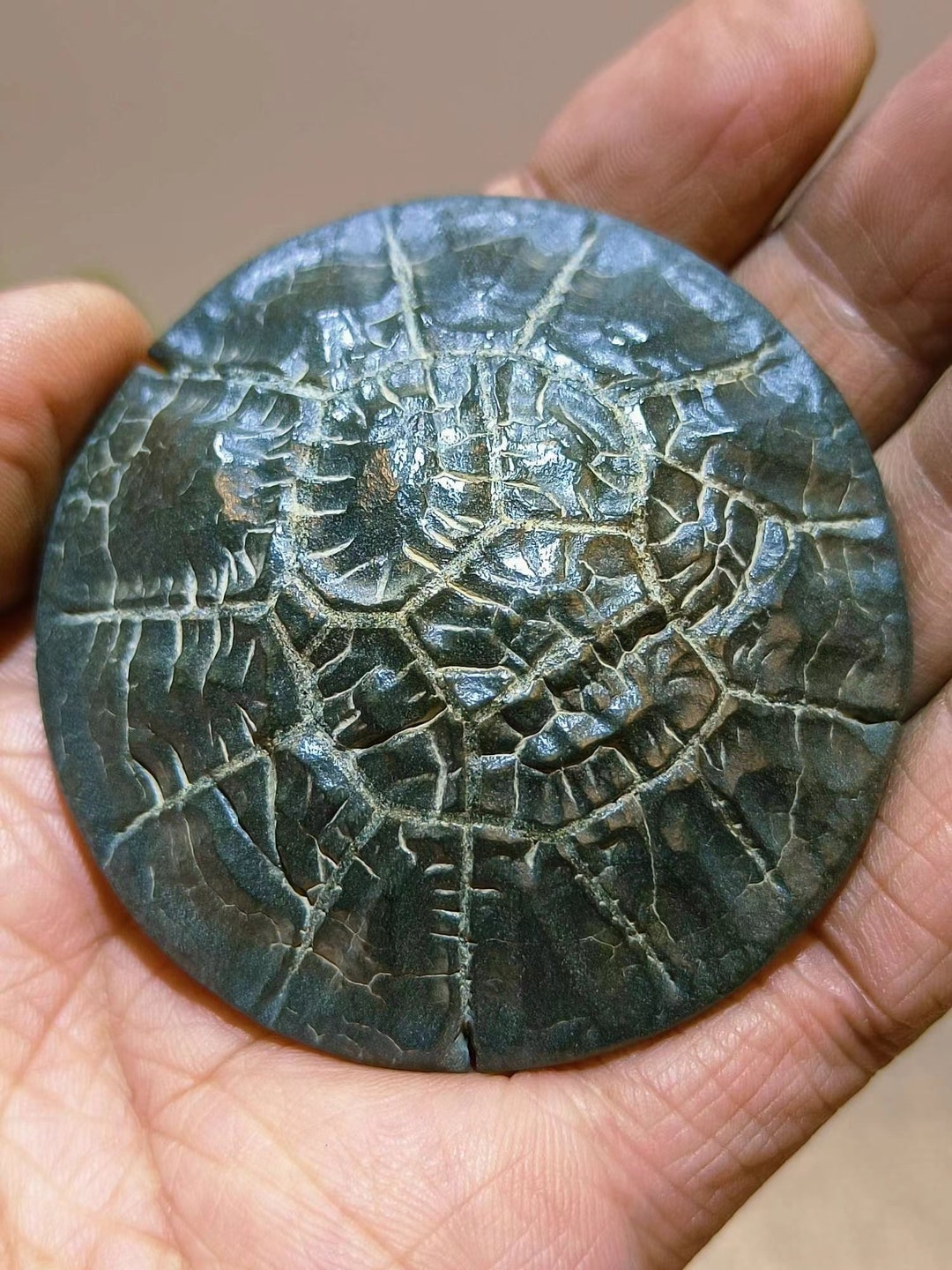 China Natural Stone "tortoise Back Pattern" Stone Moire Stone 051604 - Etsy