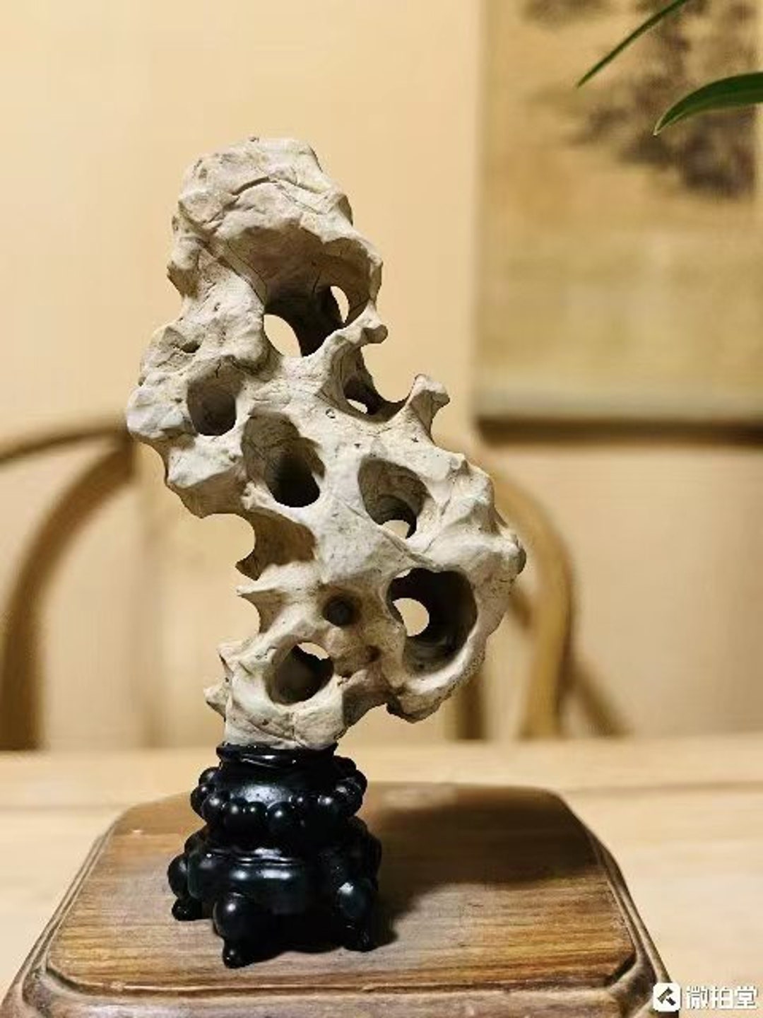 China Natural Stone Mountain Stones Bonsai Suiseki North Taihu Stone ...