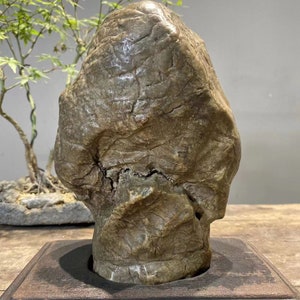 Old Collection China Natural Stone Mountain Stones Bonsai Suiseki Taihu ...