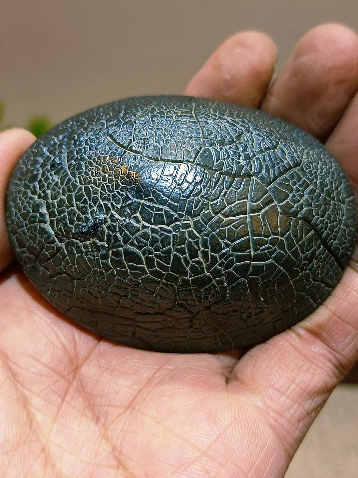 China Natural Stone "tortoise Back Pattern" Stone Moire Stone 052702 - Etsy