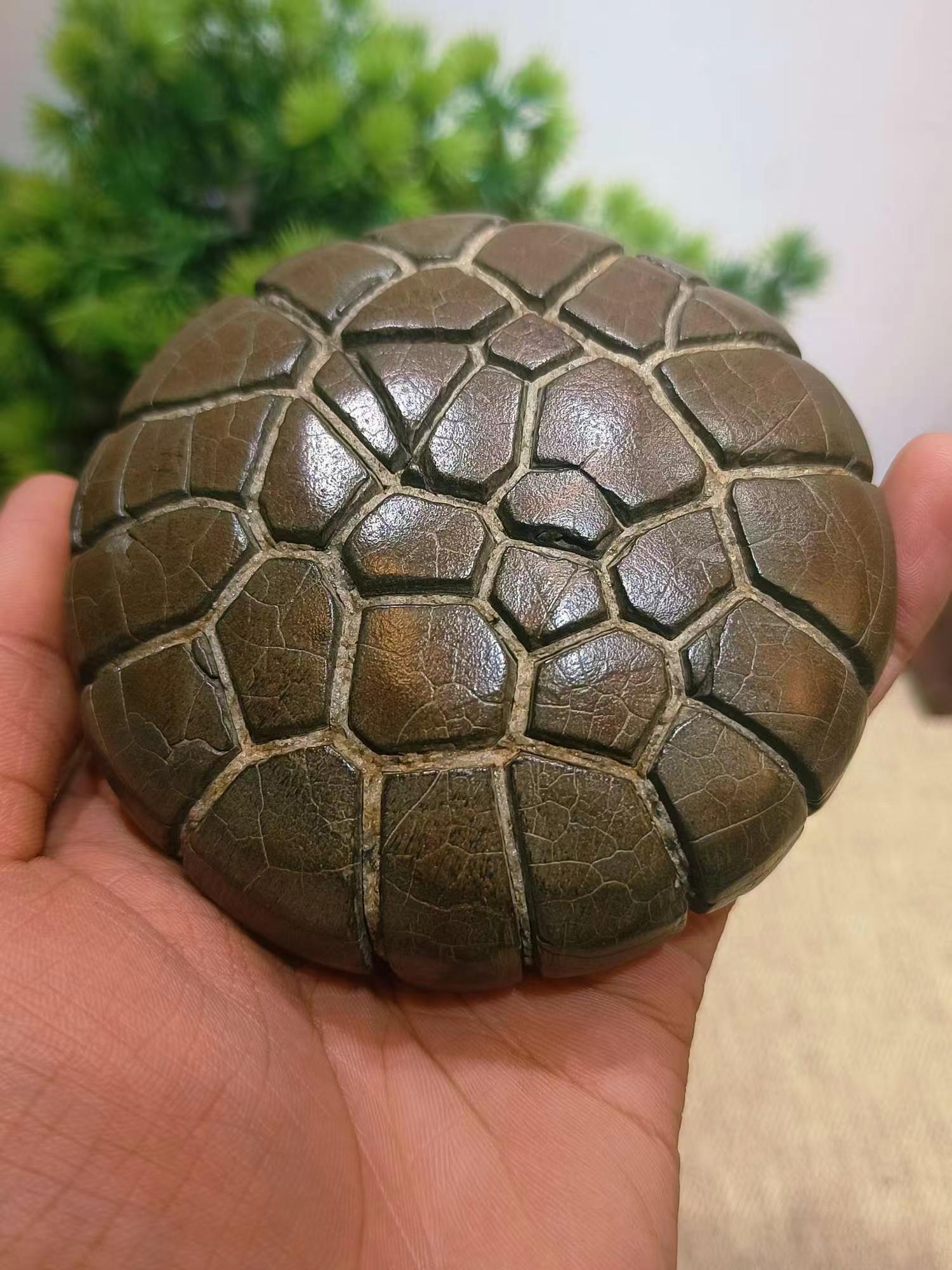 China Natural Stone "tortoise Back Pattern" Stone Moire Stone 101101 Tj ...
