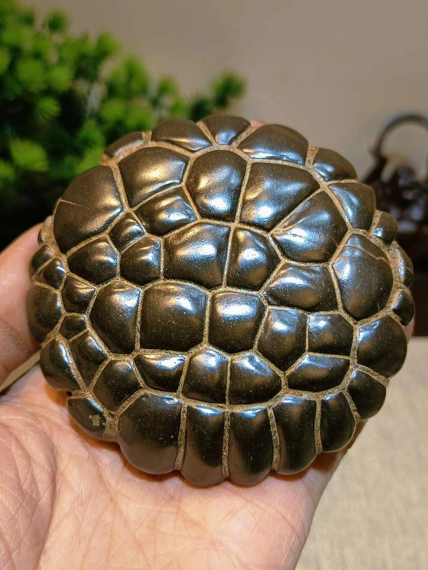 China Natural Stone "tortoise Back Pattern" Stone Moire Stone 121001 - Etsy