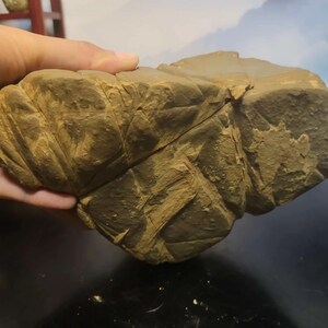 China Natural Stone Mountain Stones Bonsai Suiseki Songhua Stone ...