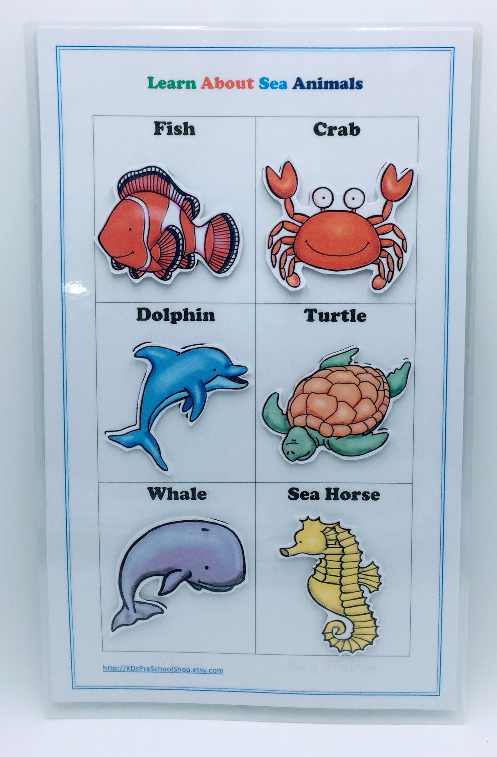 Water Animals Lesson Plans Preschool at Maria Couch blog
