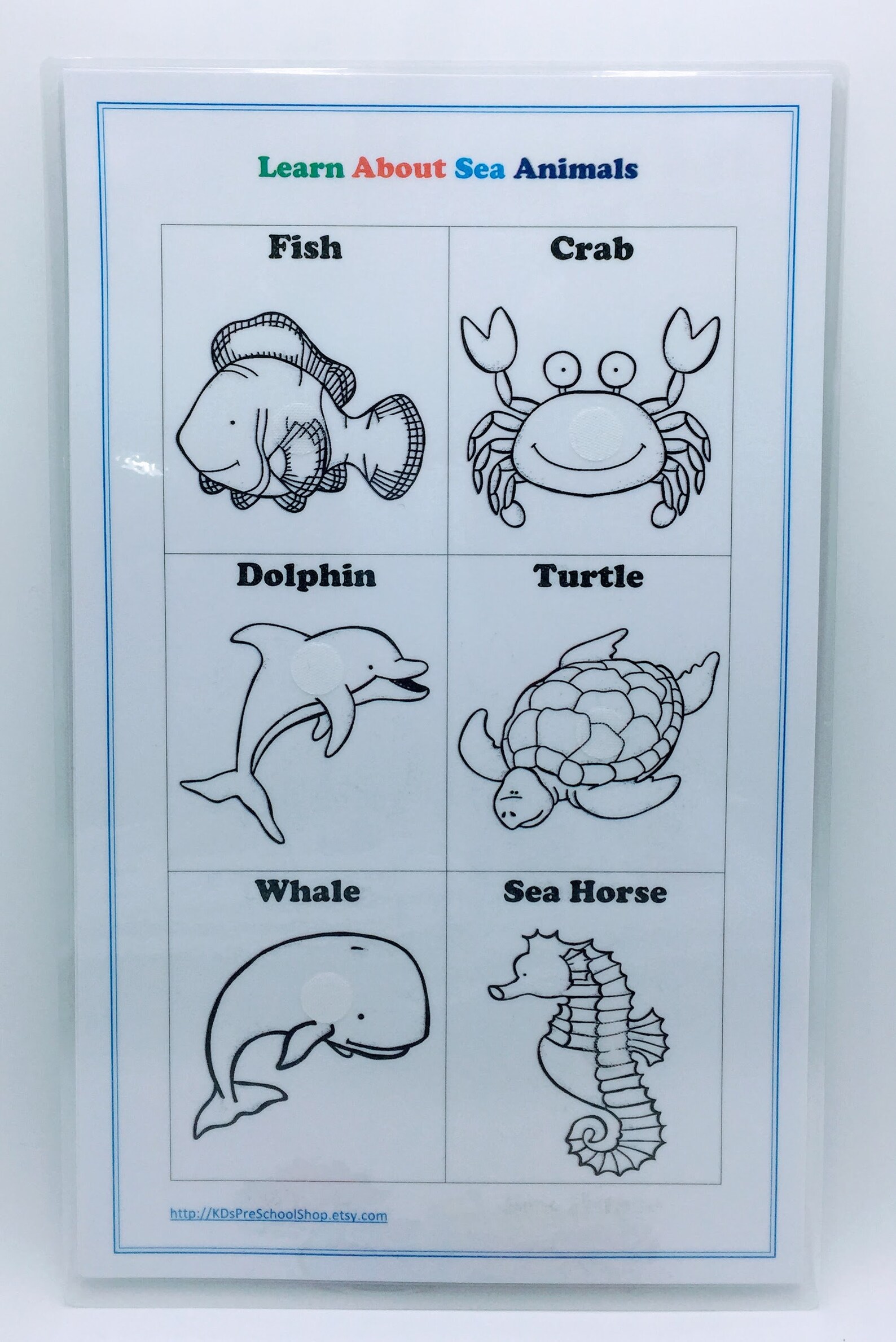 Sea Animals Learning Toddler Preschool Home School Chart | Etsy
