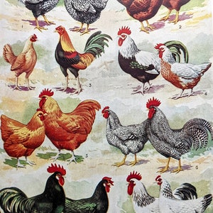 1940 Some Important Breeds of Poultry Original Vintage Print ...