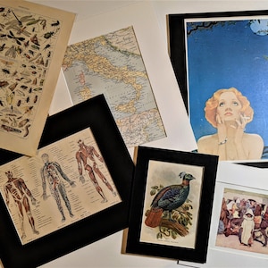 1976 Alexander Herrmann - Vintage Magic Poster- Sheet Size Approx. 16 X ...