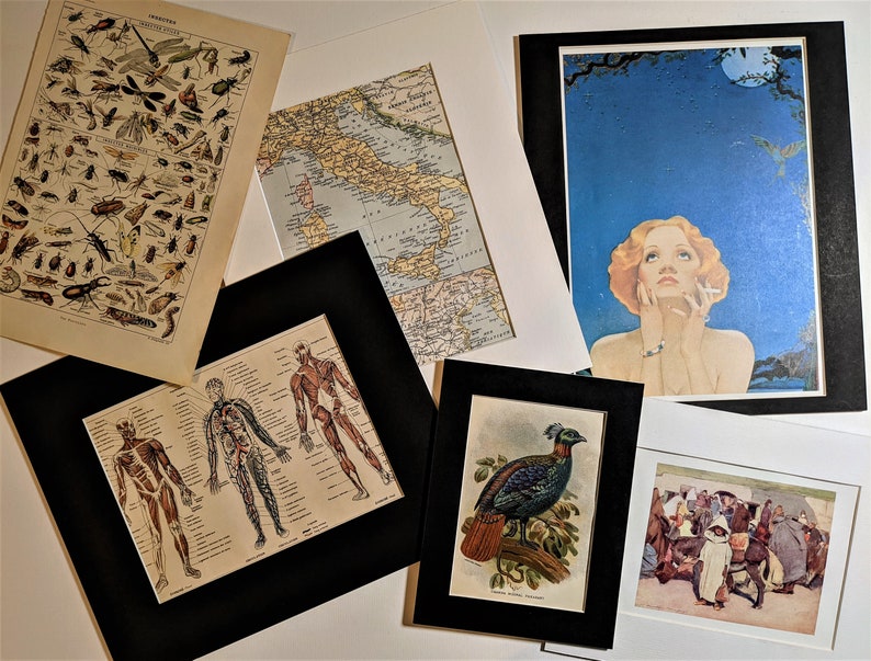 1976 Alexander Herrmann - Vintage Magic Poster- Sheet Size Approx. 16 X ...