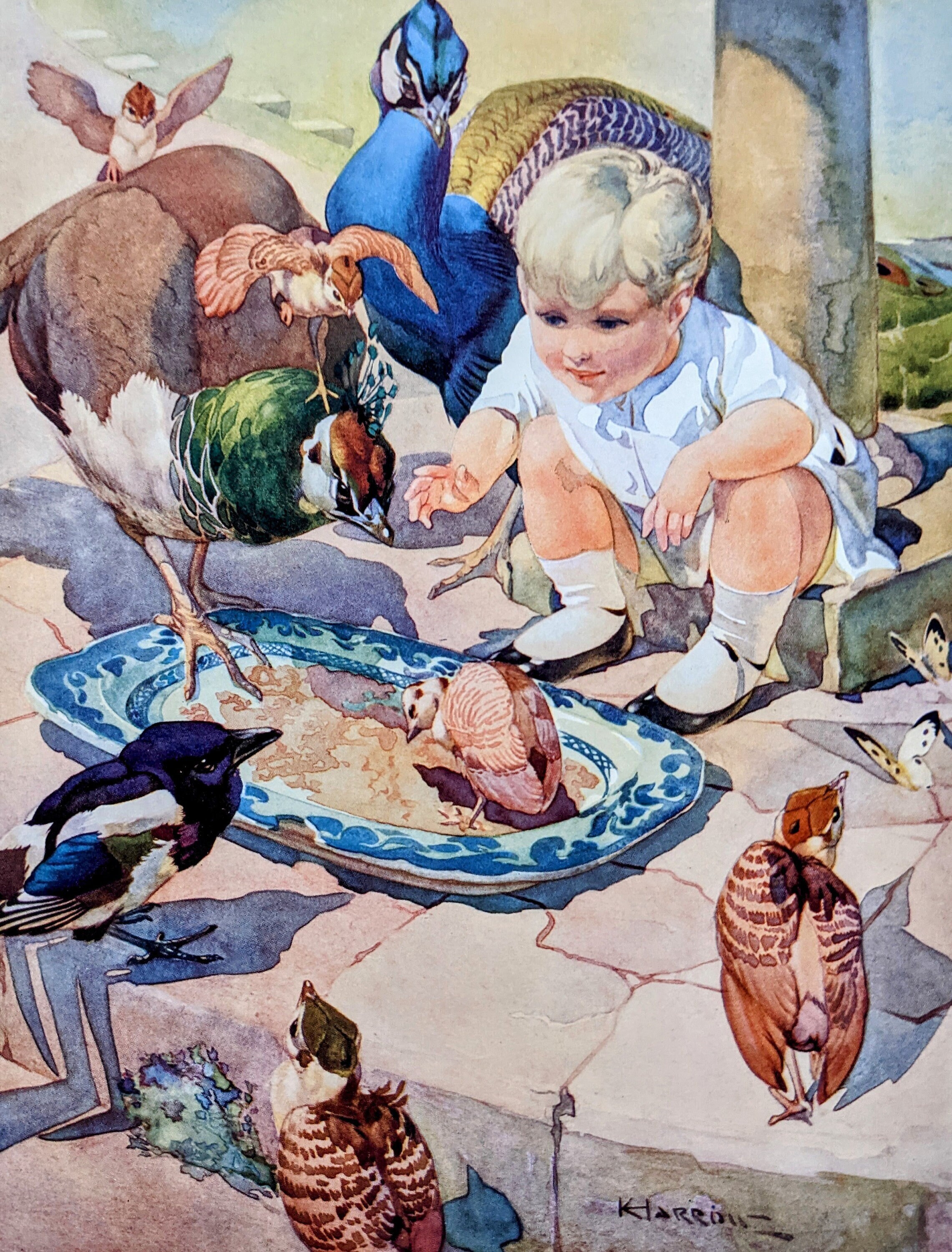 1931 Kenneth Harrow the Peacock Party Vintage Print - Children's Book ...