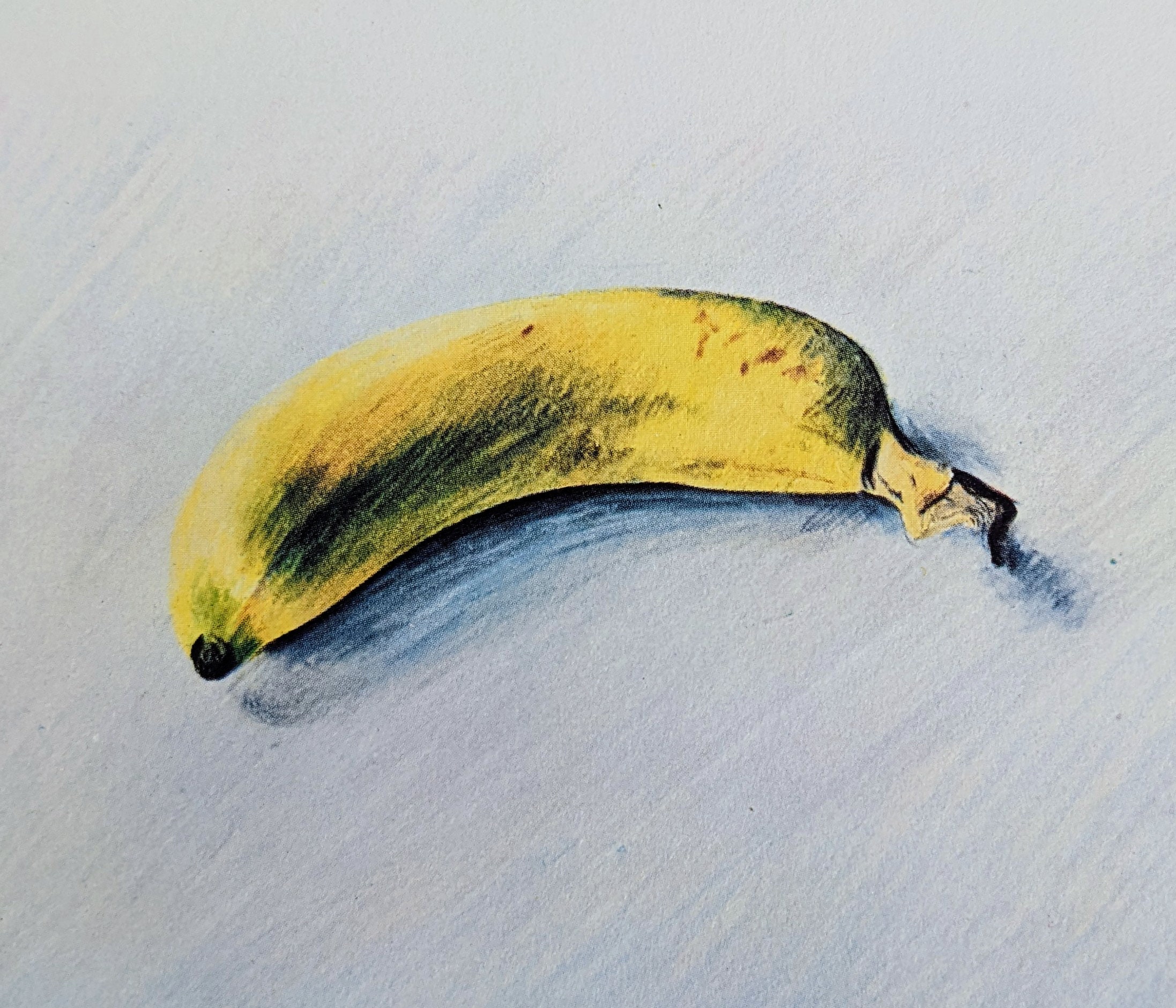 1978 David Hockney Banana, 1970 Original Vintage Print = Wall Décor - Etsy