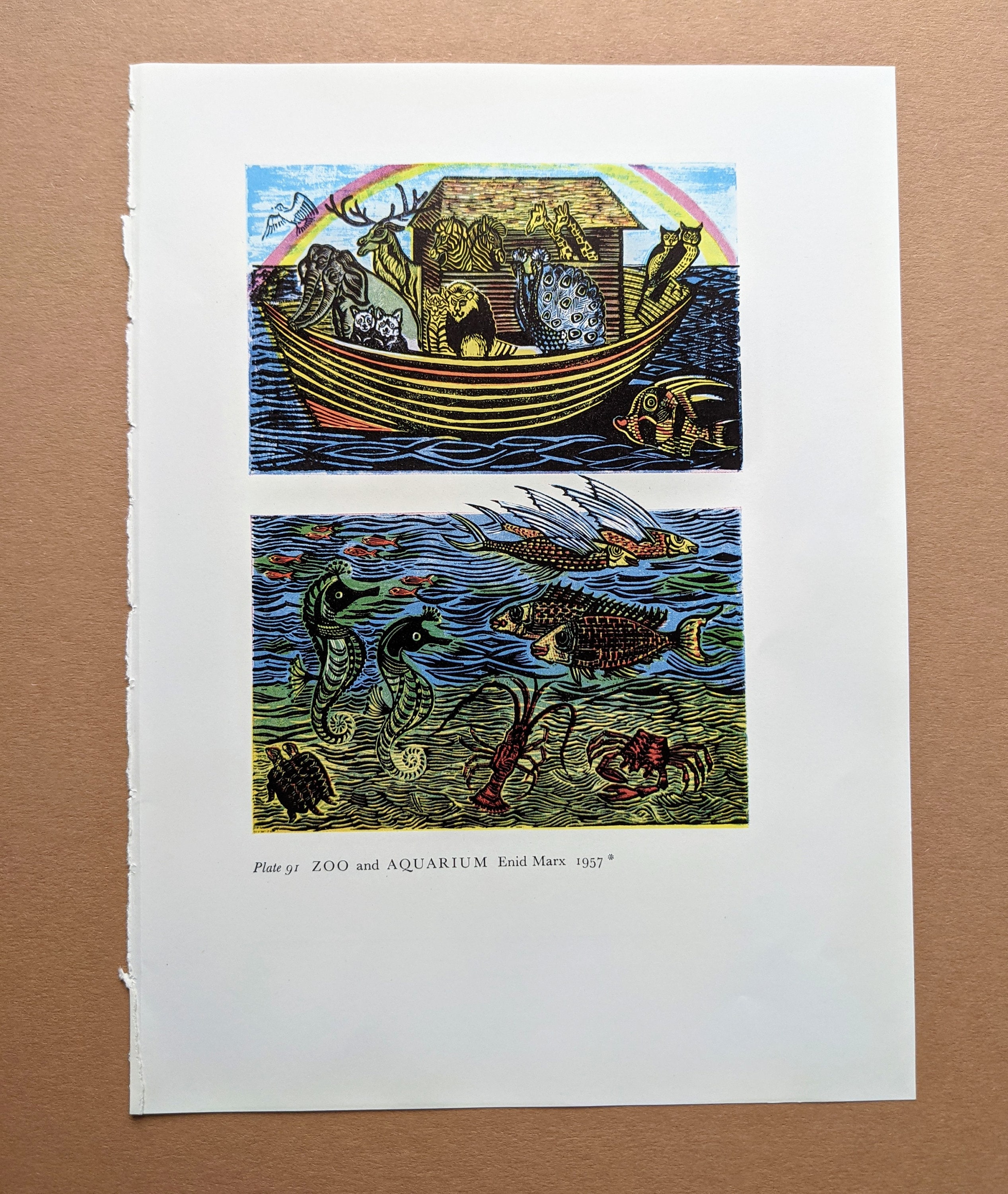1963 Zoo and Aquarium Enid Marx 1957 Original Vintage Print London ...