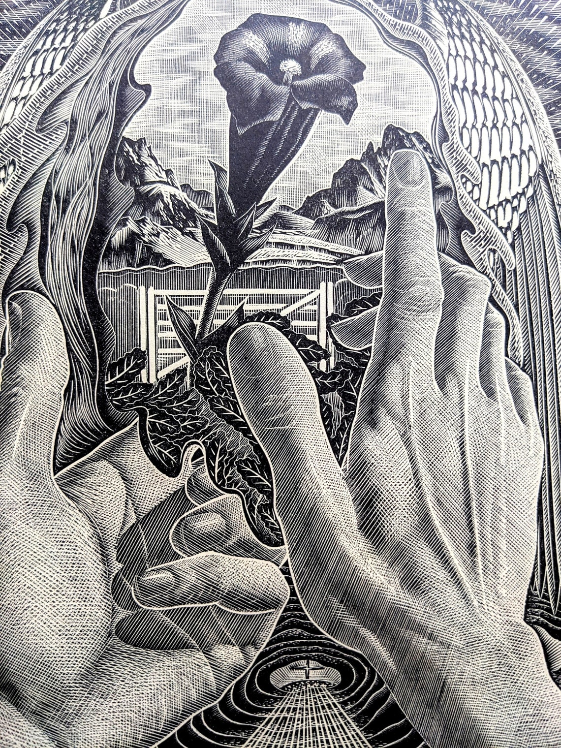 1950 Lennox Paterson A Wood Engraving Taken From the Roadmender Lilly ...