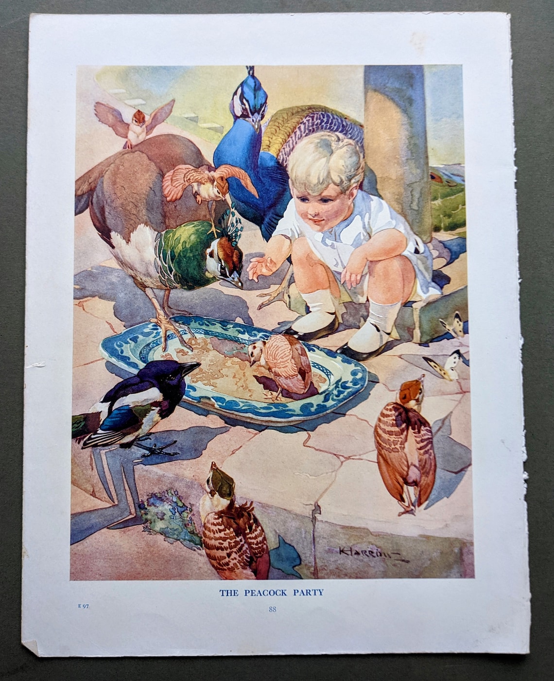 1931 Kenneth Harrow the Peacock Party Vintage Print - Children's Book ...