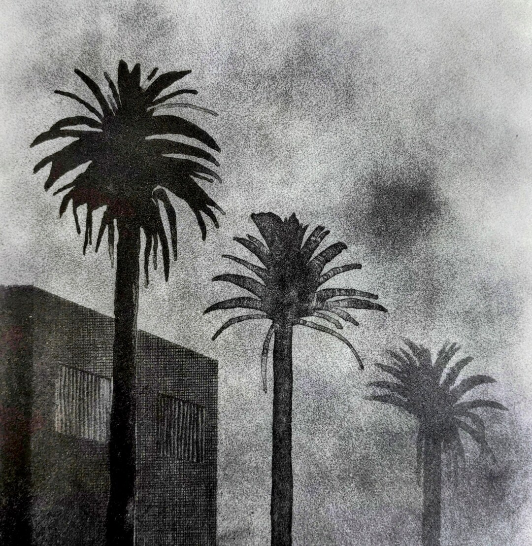 1978 David Hockney Dark Mist, 1973 Original Vintage Print - Wall Décor ...