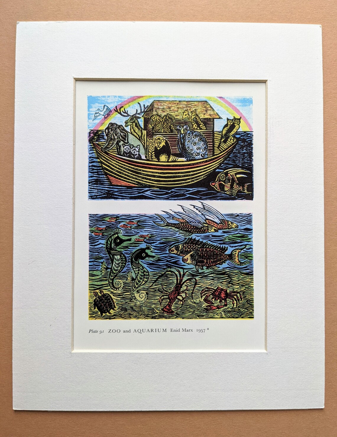 1963 Zoo and Aquarium Enid Marx 1957 Original Vintage Print - Etsy UK