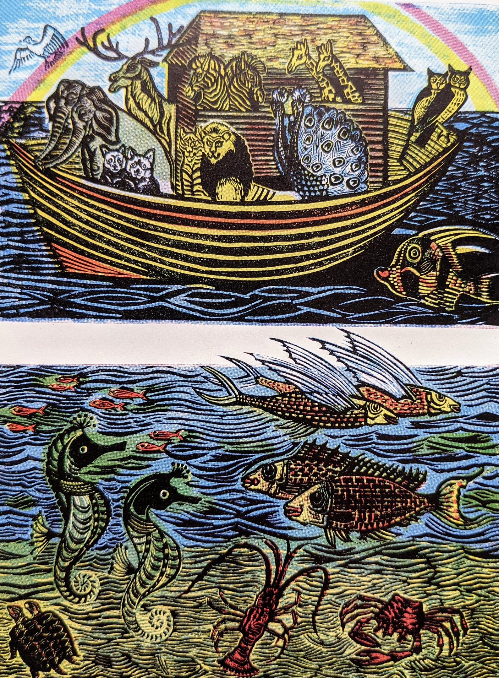 1963 Zoo and Aquarium Enid Marx 1957 Original Vintage Print - Etsy UK