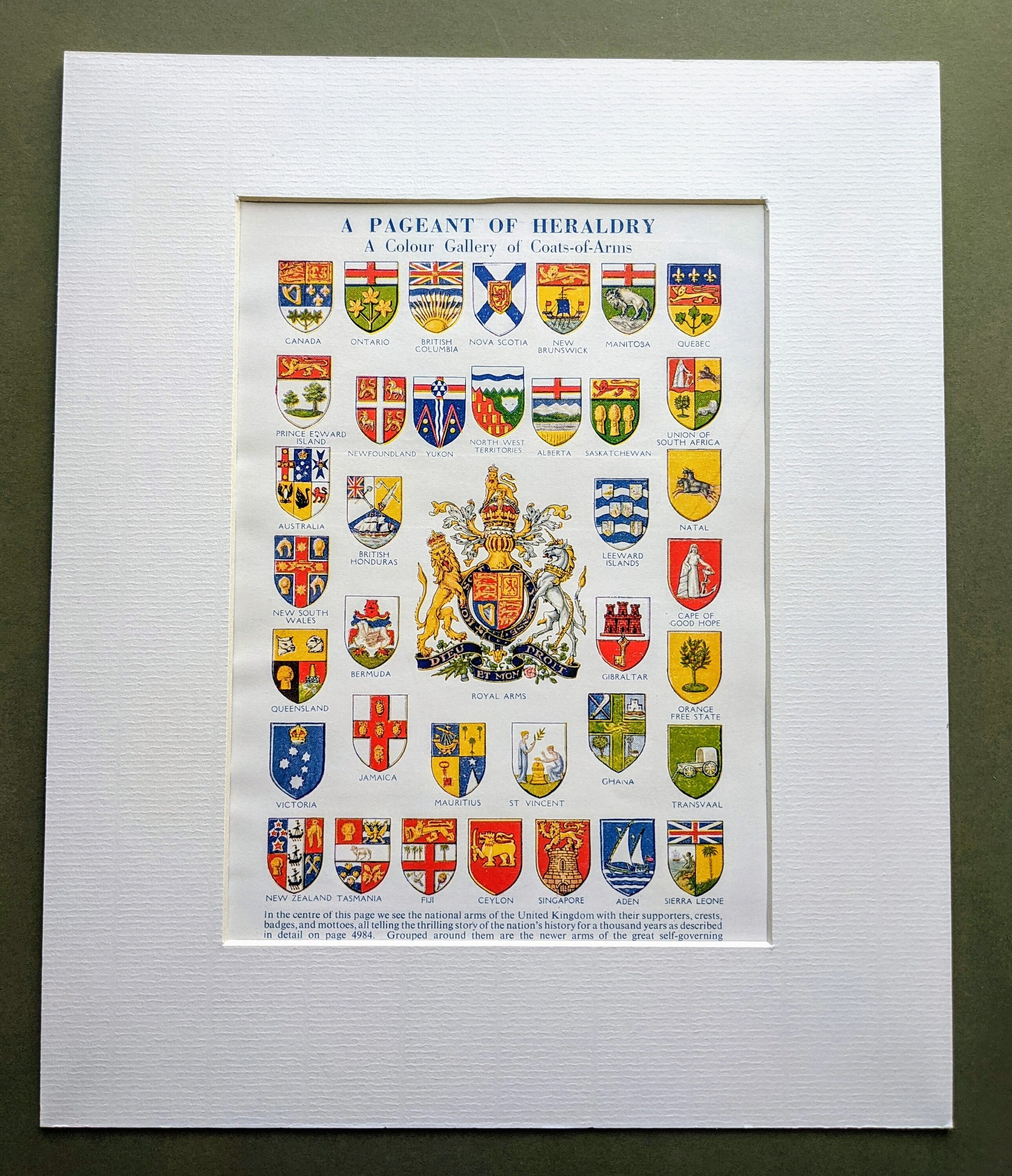 1956 A Pageant of Heraldry Vintage Print Coats of Arms Crests Badges ...