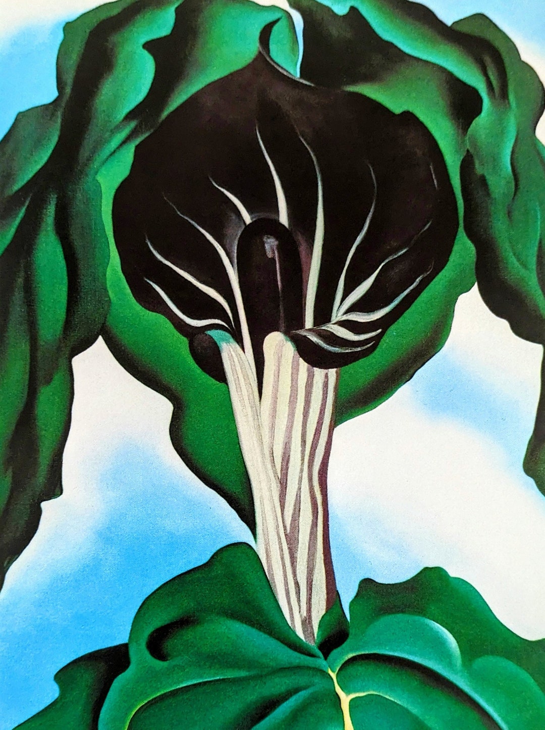 1976 Georgia O'keeffe ' Jack-in-the-pulpit III' C 1924- American ...