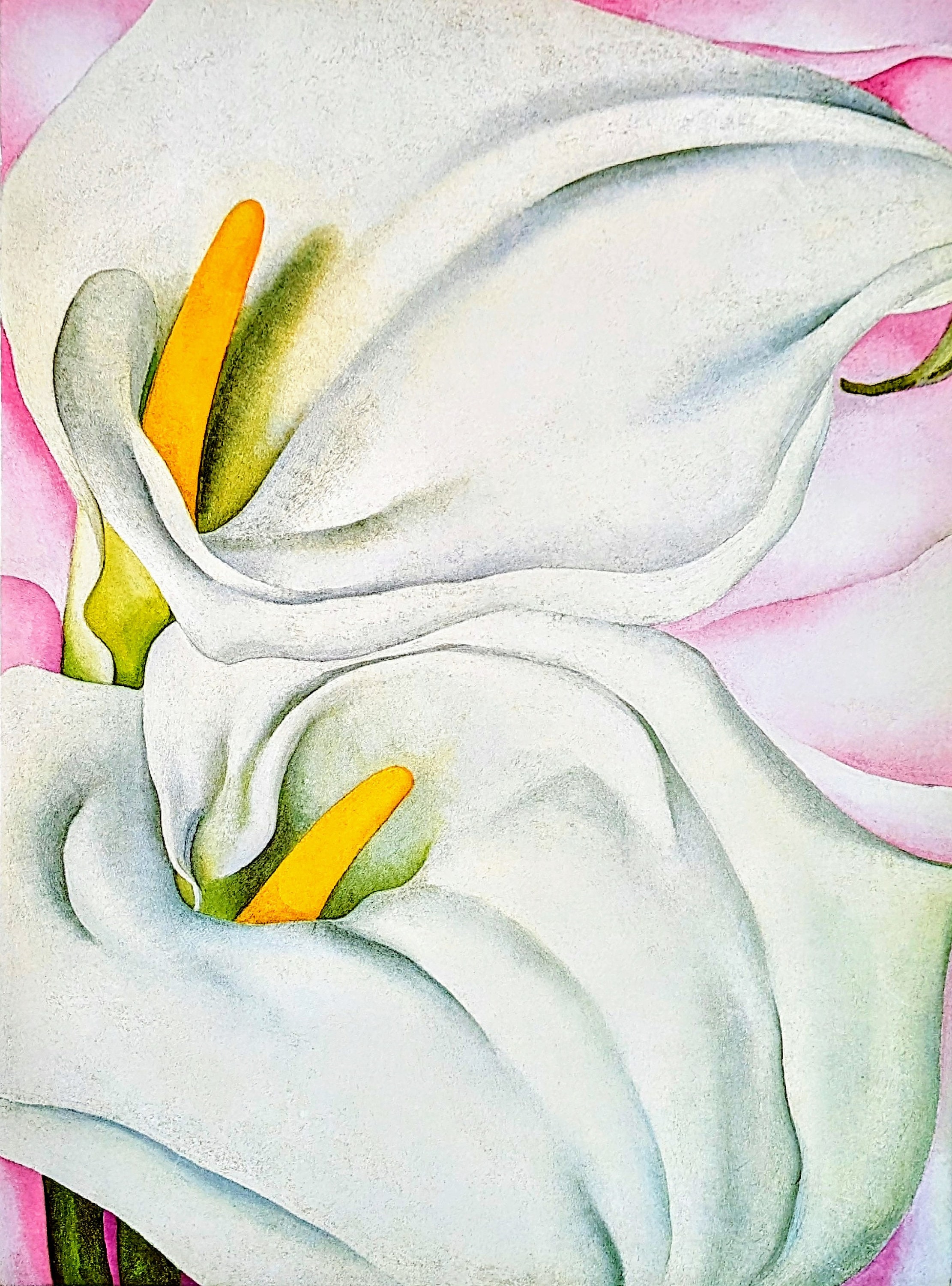 1976 Georgia O'keeffe ' Two Calla Lilies on Pink' C 1928 - American ...
