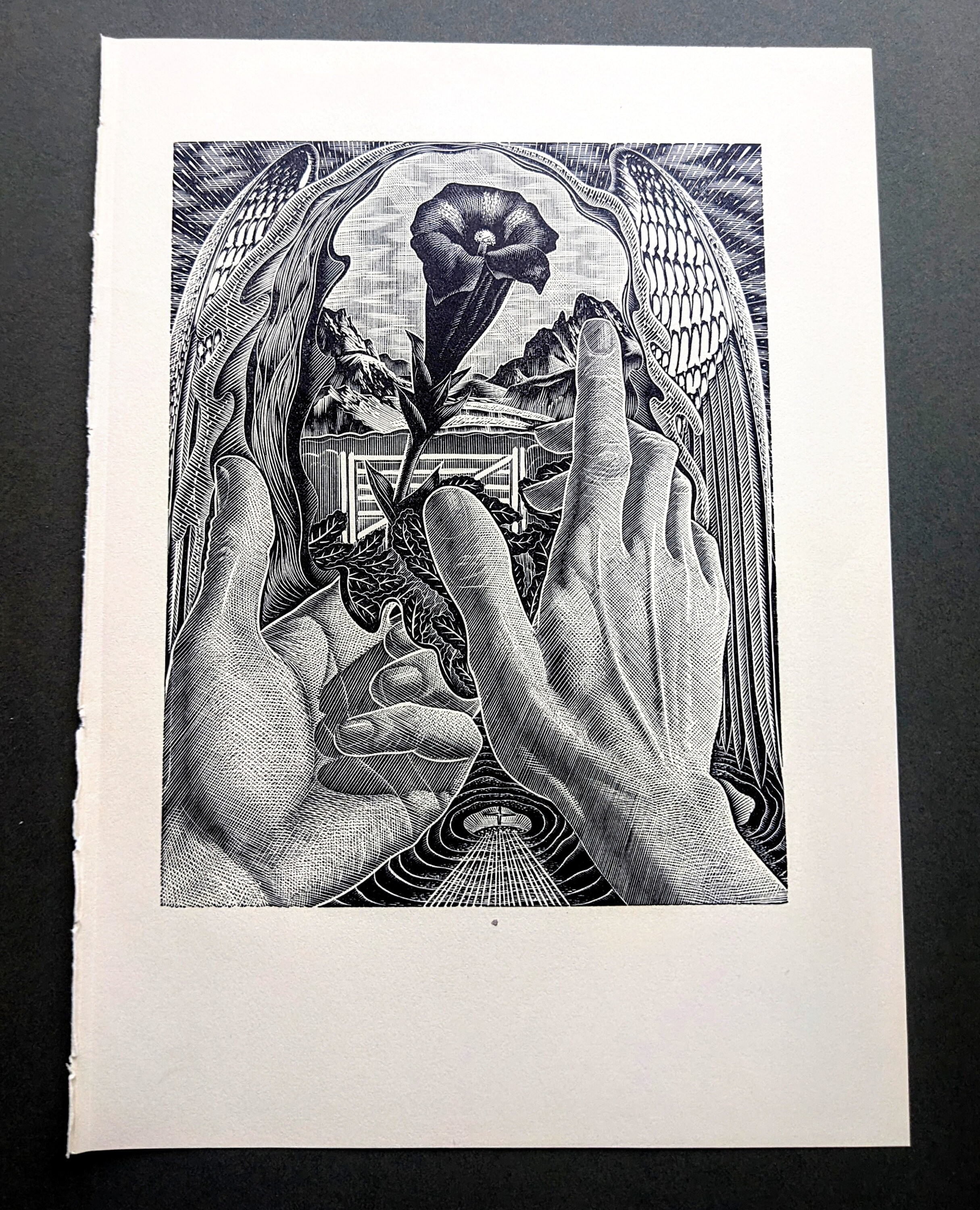 1950 Lennox Paterson A Wood Engraving Taken From the Roadmender Lilly ...