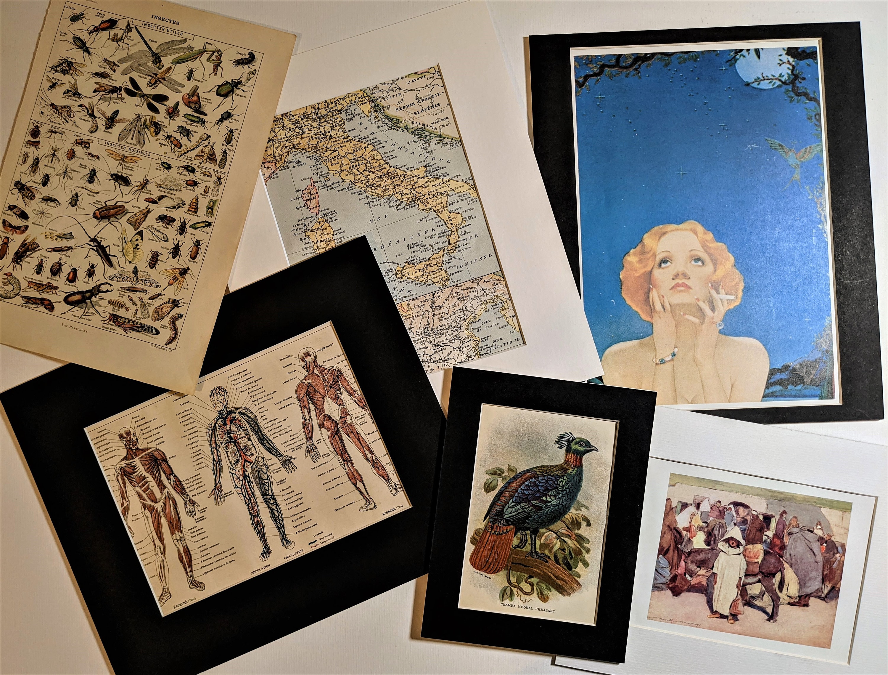 1931 W. Bryce Hamilton Robin Hood's First Escape Vintage Print ...