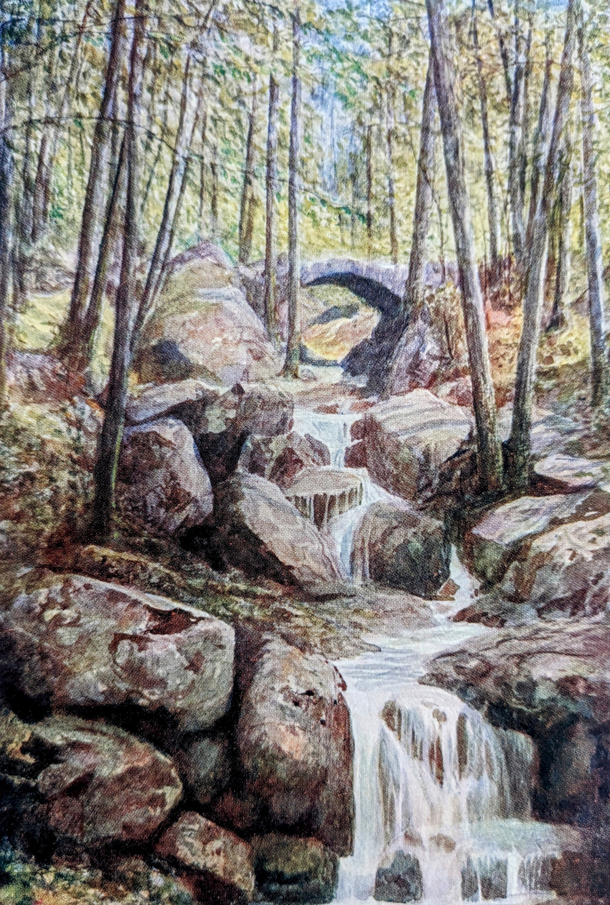 1908 Amédée Forestier Pont Du Prophète, Promenade Meyerbeer, Spa Woods ...