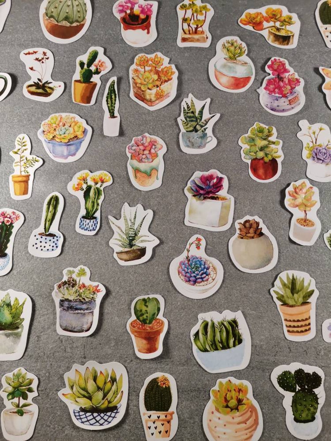 Autocollants de cactus / Autocollants de cactus mignons / Fournitures ...