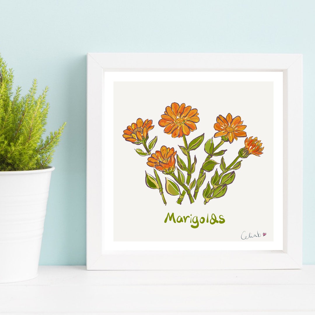 Marigolds Art Print. Hand Drawn & Eco Printed. Scandi Style - Etsy