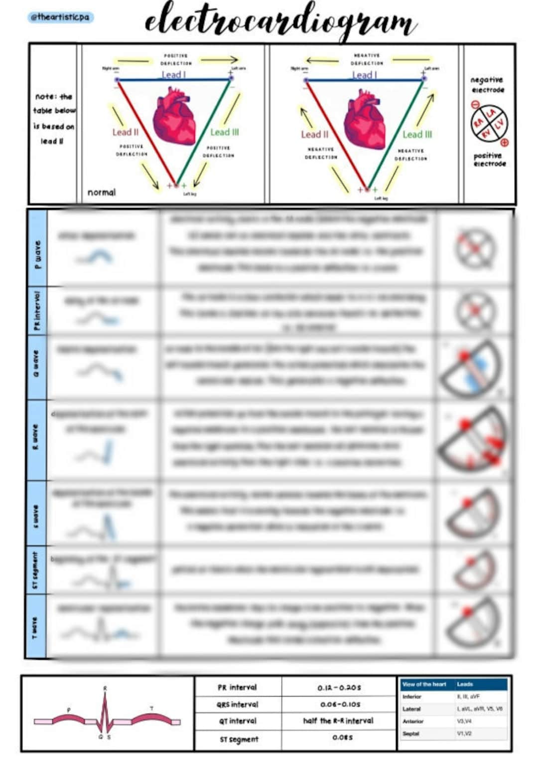 Normal ECG Lead II Breakdown - Etsy