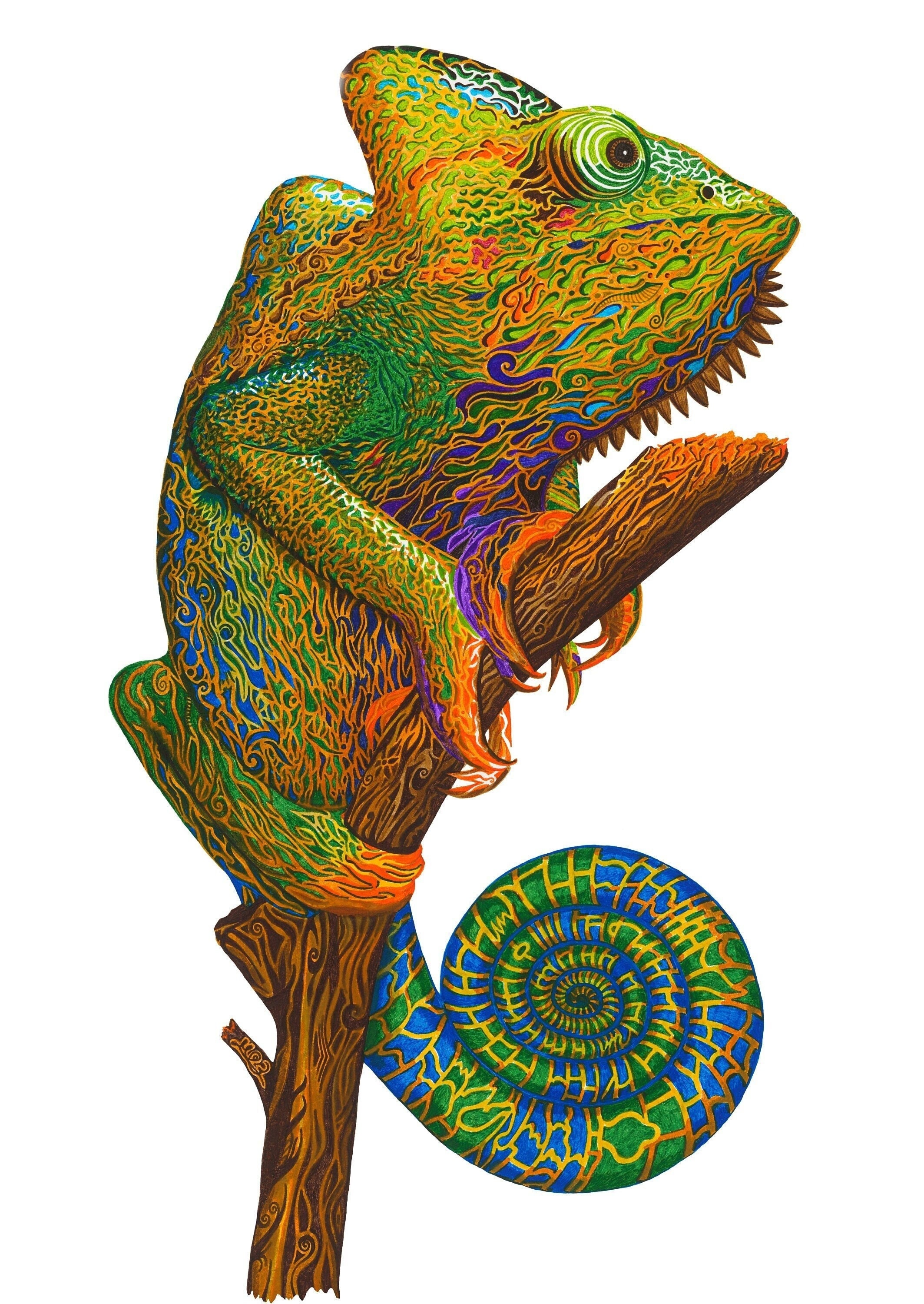 Colorful Lizard Art