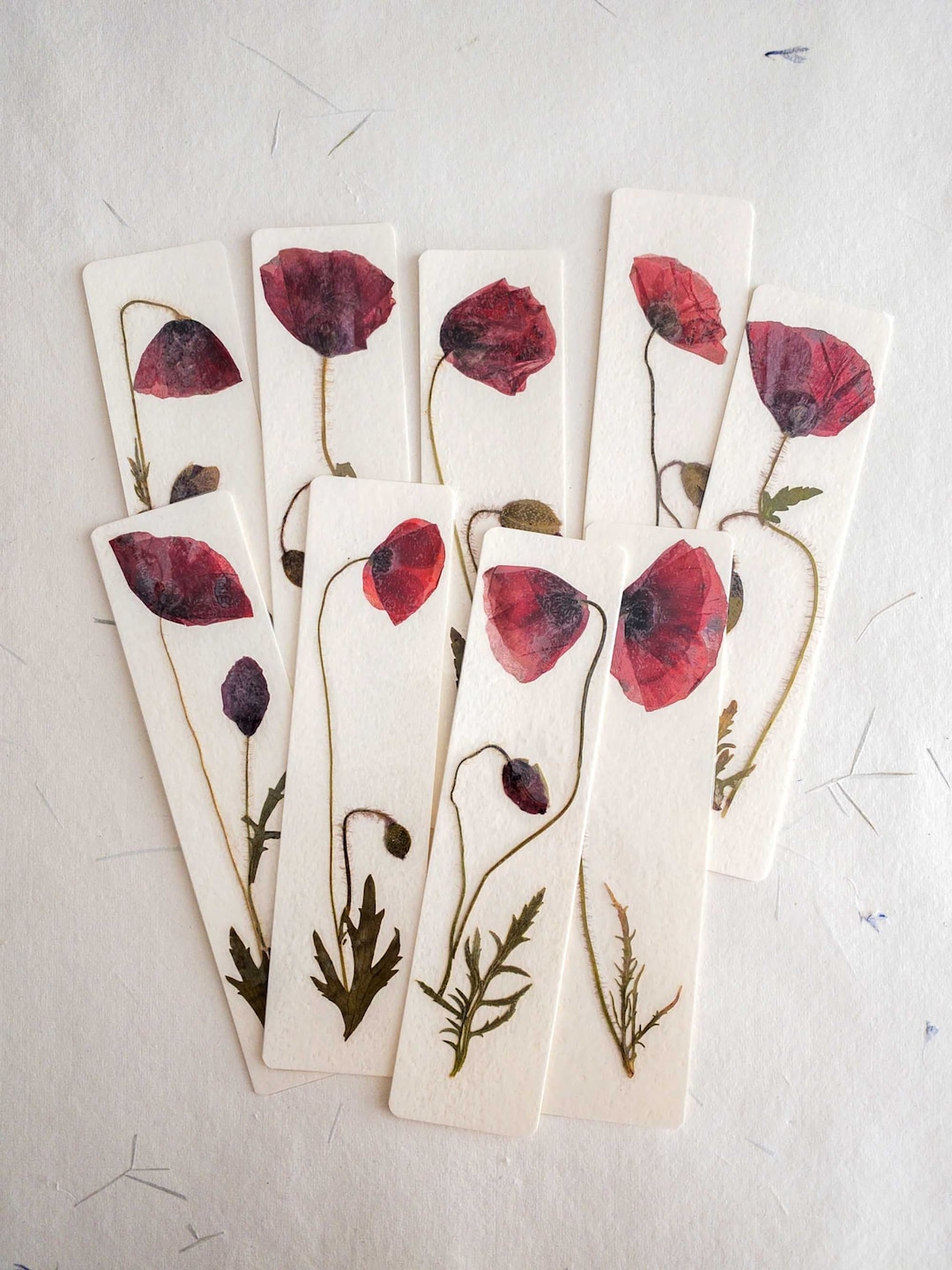 Common Poppy Bookmark,pressed Flower Bookmark Corn Poppy, Dried Flower ...