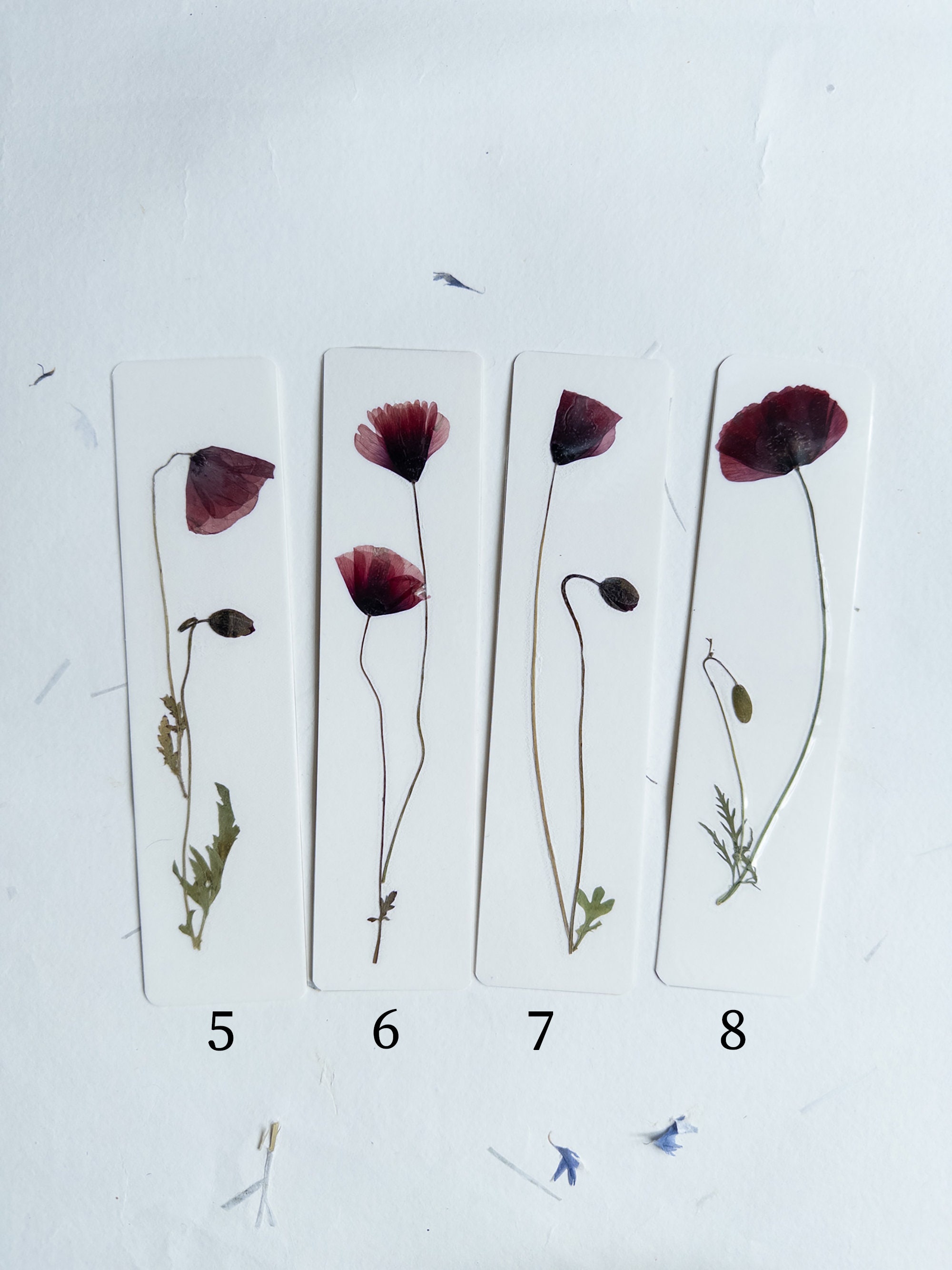 Common Poppy Bookmark pressed Flower Bookmark Corn Poppy - Etsy