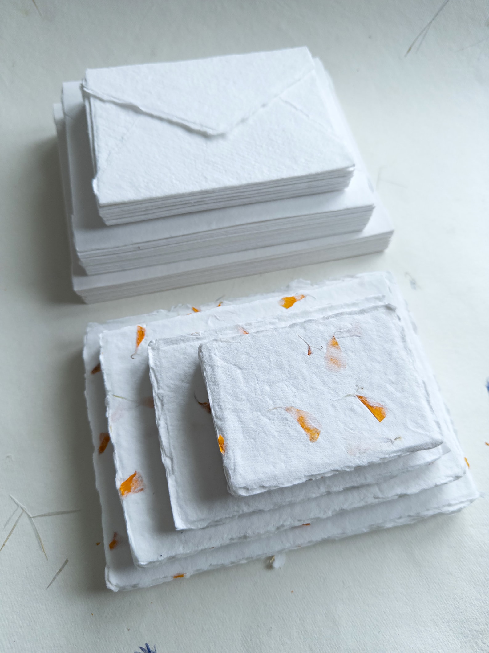 Marigold Handmade Deckle Edge Paper Deckle Edge Envelop, Petal Handmade ...