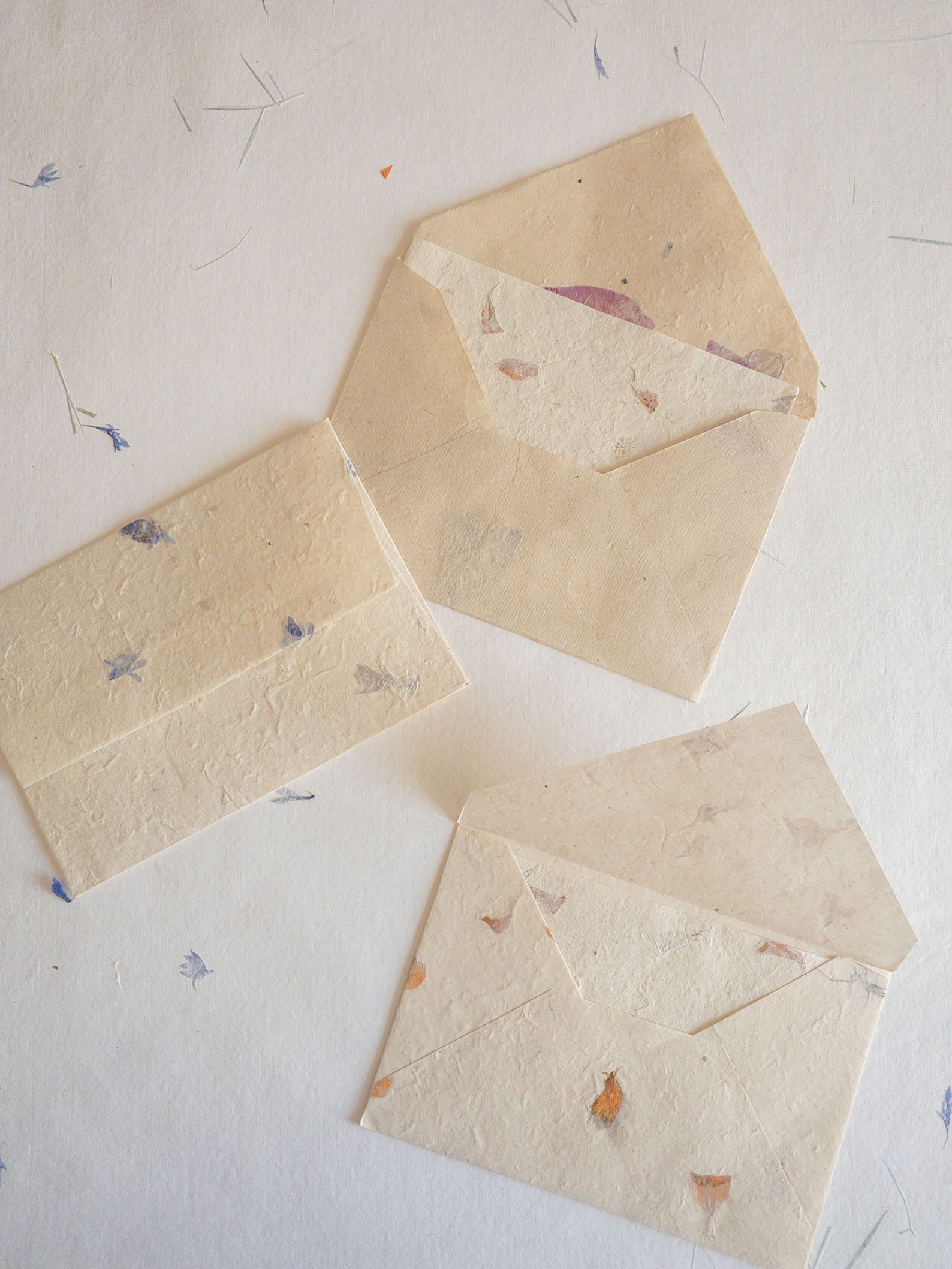 SET OF FIVE Handmade Deckle Paper with Envelop real pressed | Etsy