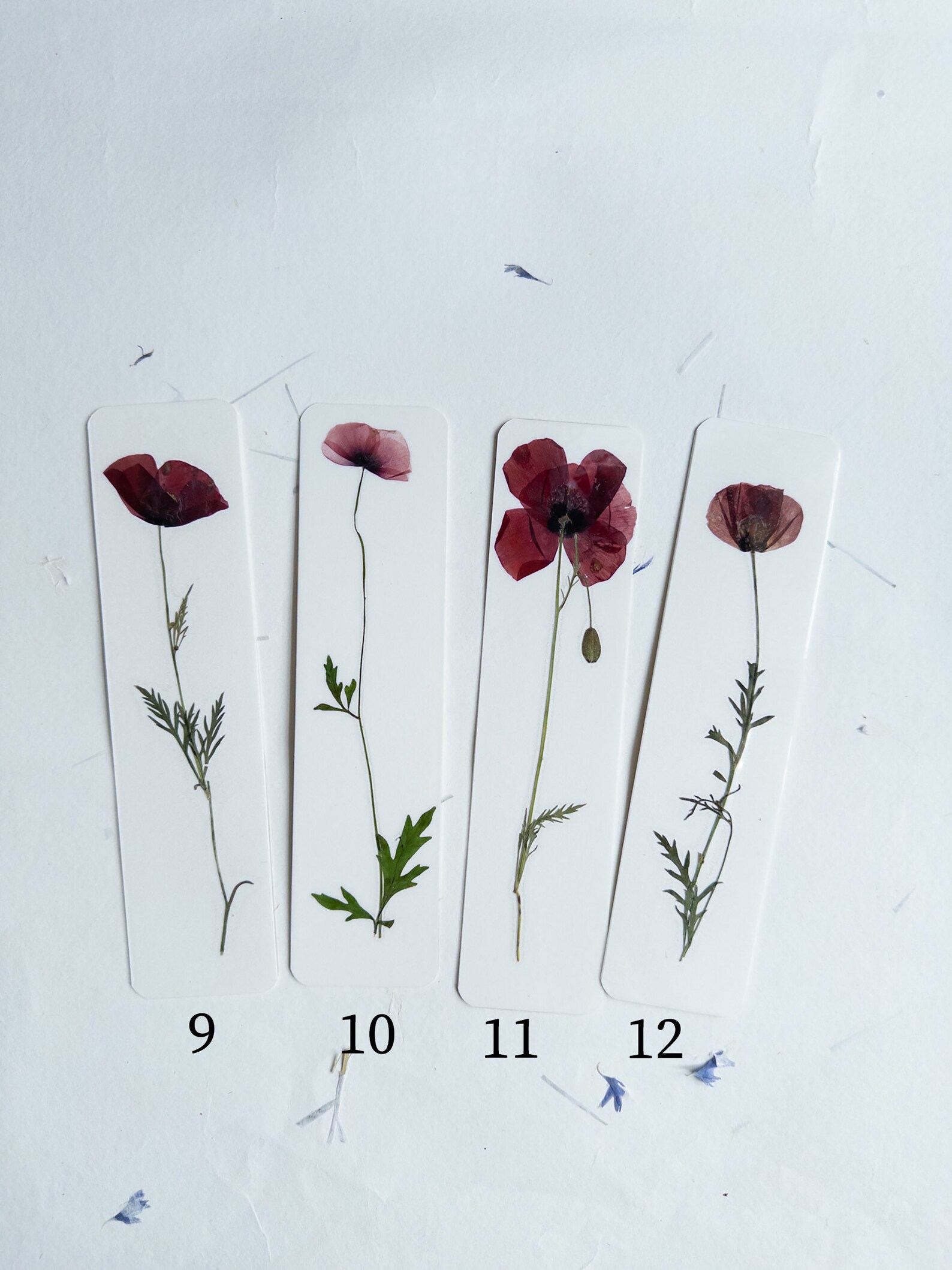 Common Poppy Bookmark pressed Flower Bookmark Corn Poppy - Etsy