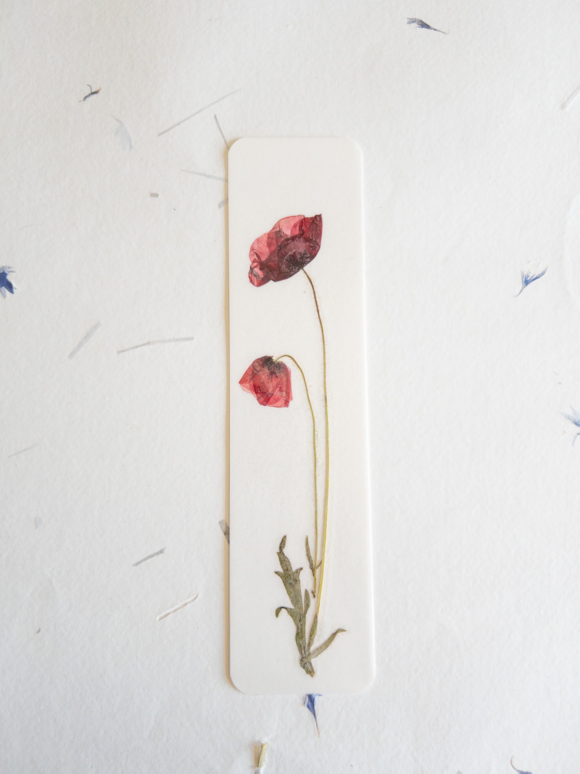 Common Poppy Bookmark pressed Flower Bookmark Corn Poppy - Etsy UK