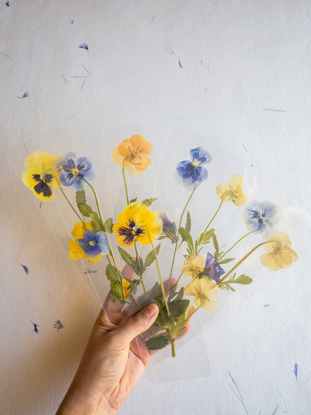 Pansy Flower Bookmark,pressed Flower Bookmark Transparent, Violet ...
