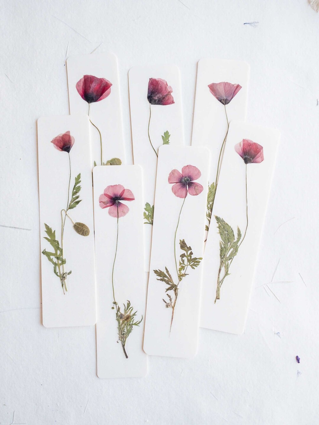 Common Poppy Bookmark Pressed Flower Bookmark Corn Poppy , Dried Flower ...